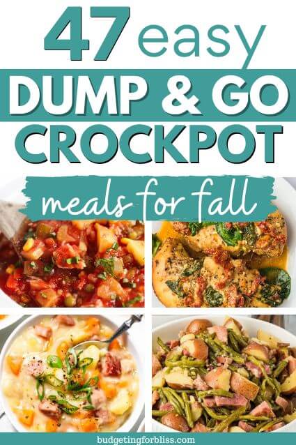 47 Easy Dump and Go Crockpot Meals for Fall - Budgeting for Bliss